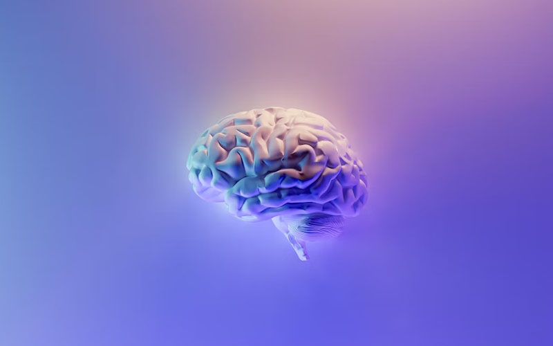 Top 4 Amazing Exercises for Better Brain Health – Biglaps.com